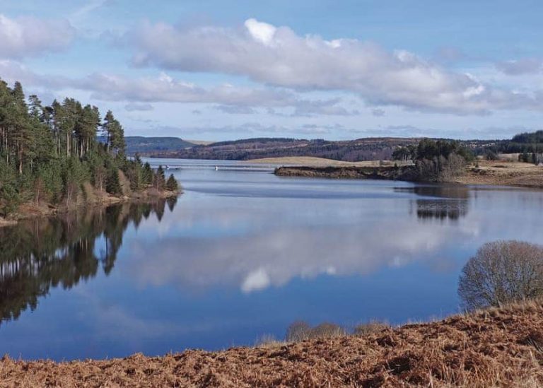 ACHEEVA - Strongbones