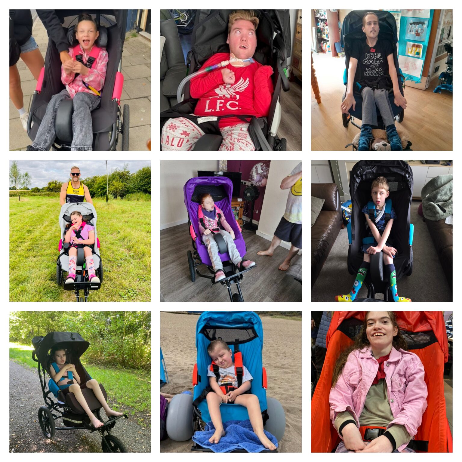 Delichon Delta Buggies - Strongbones